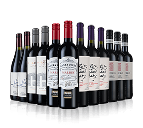 Argentinian Malbec Mix | Product Details | The Sunday Times Wine Club